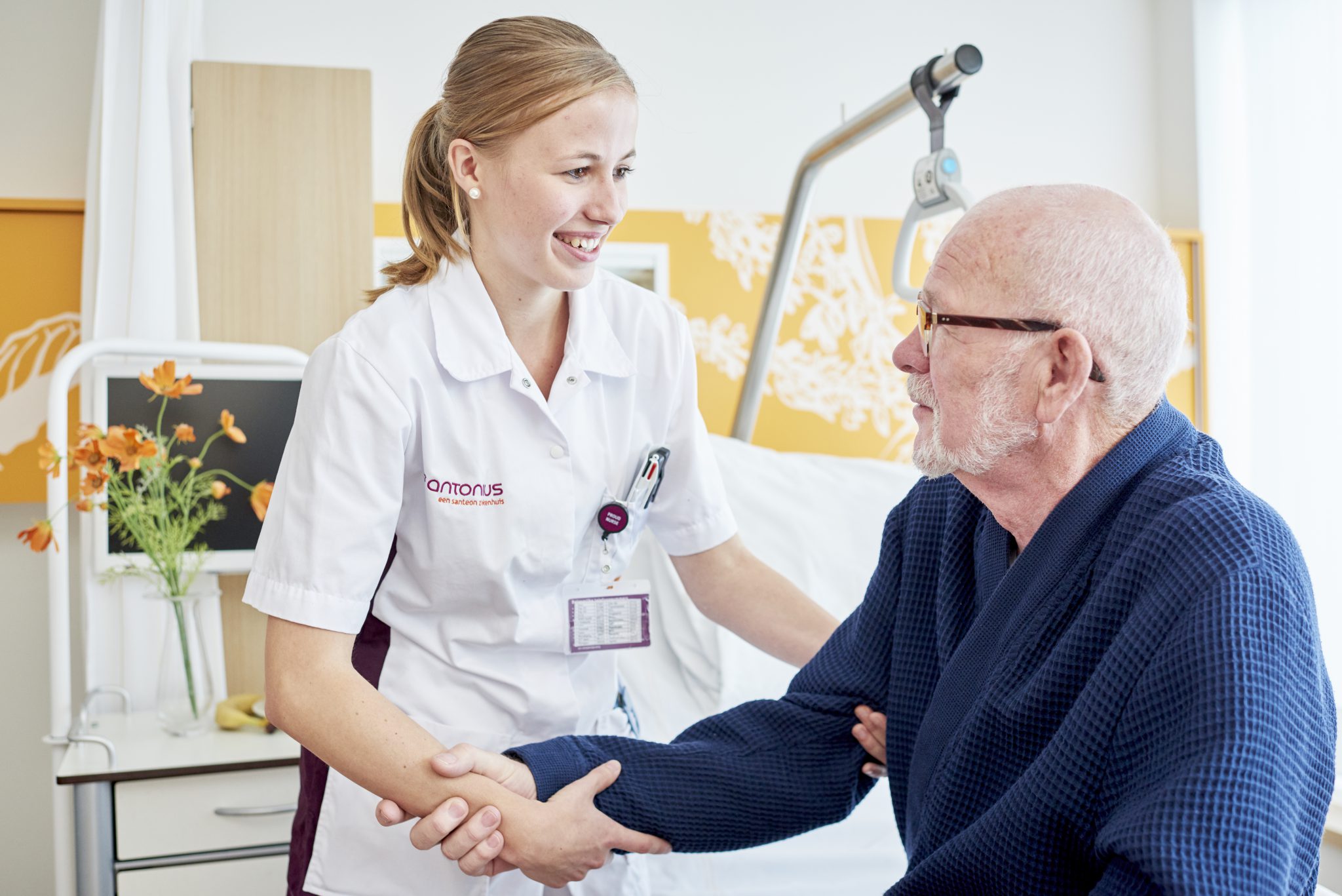 Santeon professional - Santeon